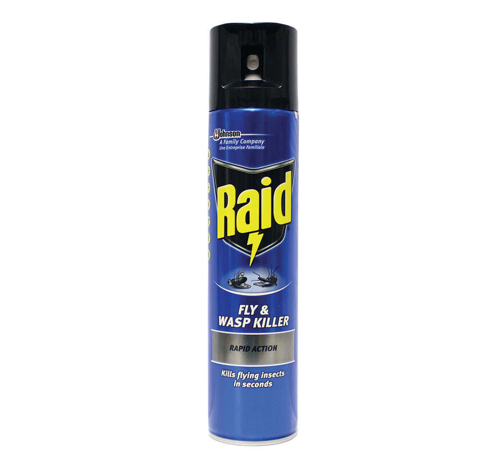 Raid Fly & Wasp Killer Aerosol | UK Cleaning Supplies